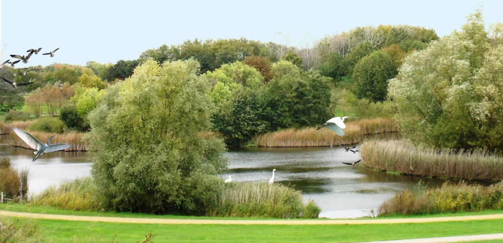 CentrOparco Segrate - Progetto